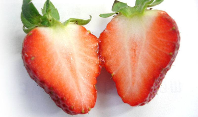 Conheça 19 tipos de morangos mais famosos do Japão - Portal Mie