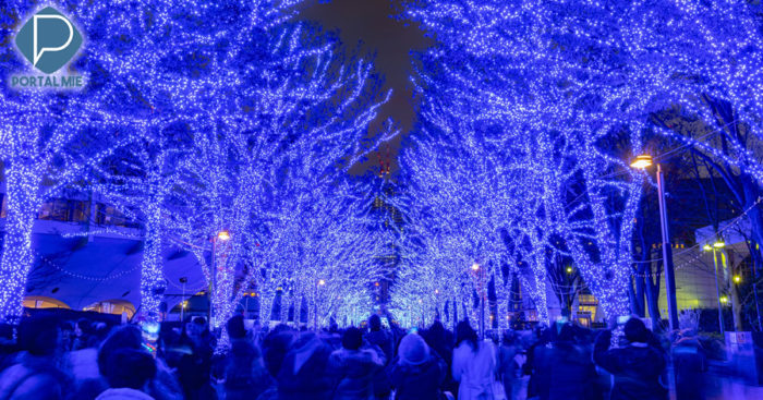 Winter Illumination: Mesmerizing Shibuya Blue Cave - Portal Japan